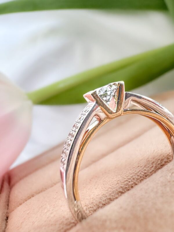Ring bicolor briljant 0.52 crt. - Circles Trouwringen
