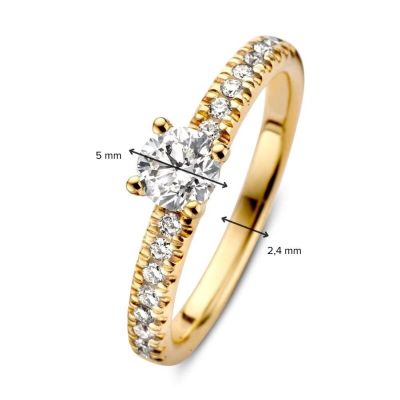 Ring geelgoud briljant 0.67 crt. - Circles Trouwringen