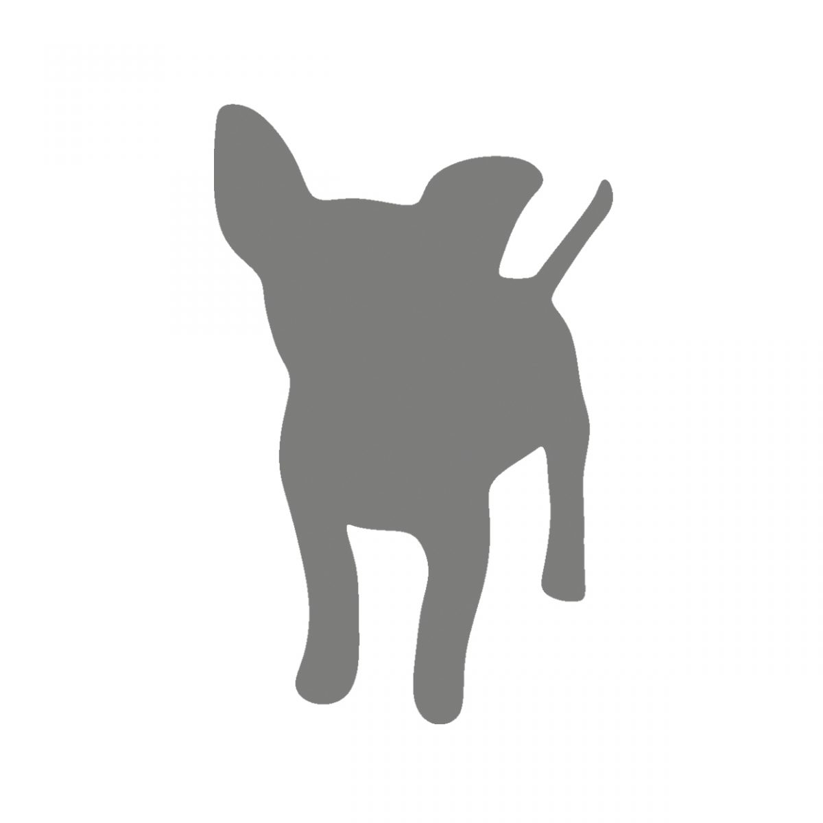 Ik zoek een baasje - Dierenzorgcentrum Louterbloemen